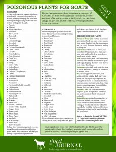 Poisonous Plants for Goats - Goat Journal